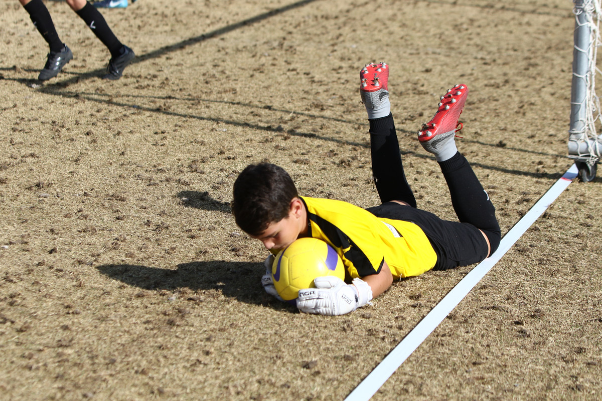 VIK 2909 — Postimages