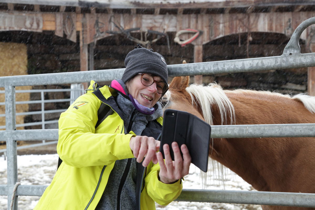 IMG 3203 — Postimages