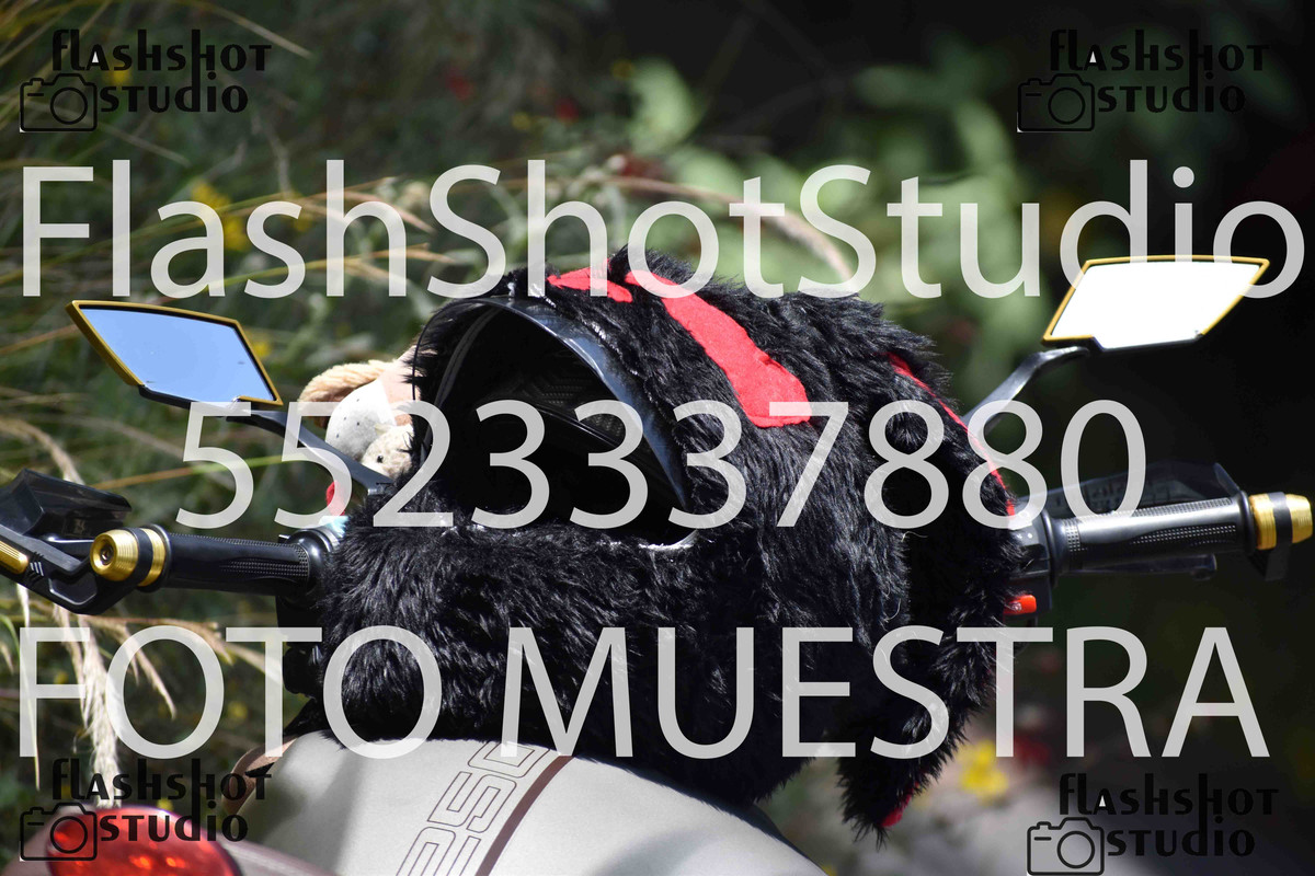 DSC 0454 — Postimages