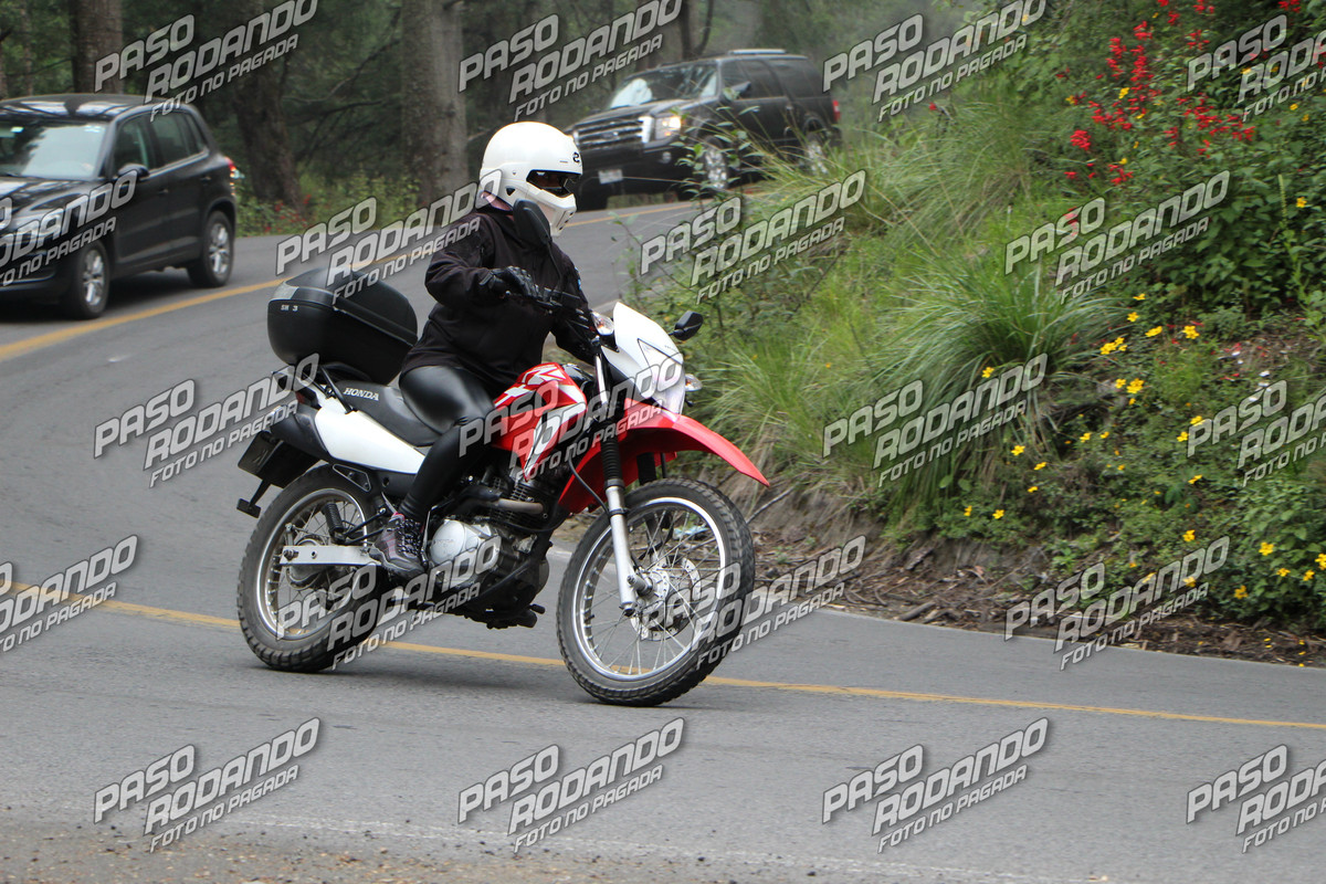 IMG 4671 wm 131438 7000000002 watermarked — Postimages