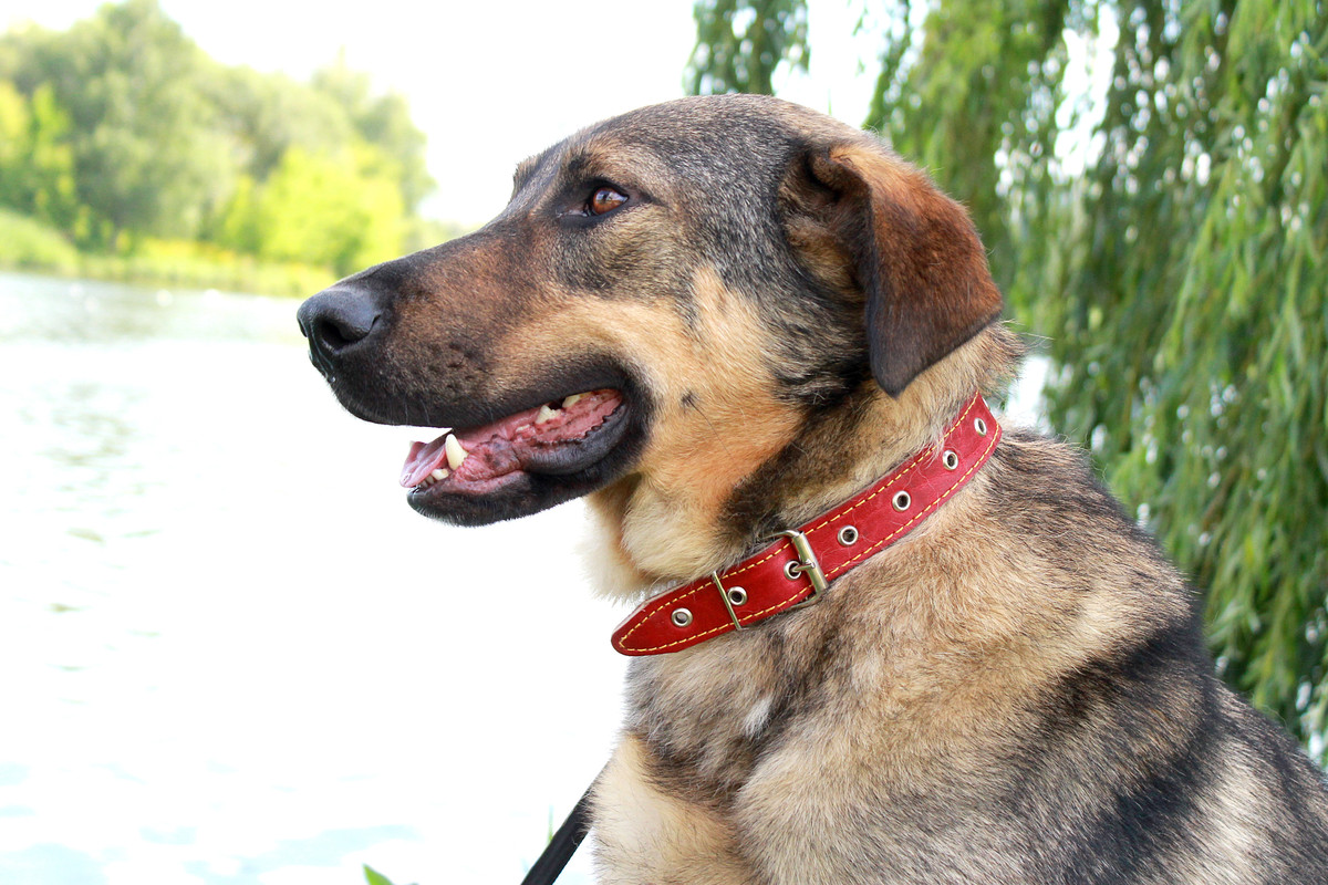 IMG 7617 — Postimages