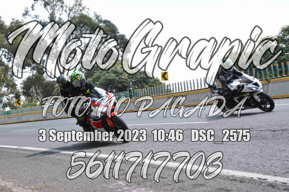 motgr DSC 2575 — Postimages