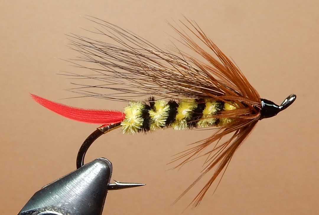 What have you been tying today Page 807 The North American Fly Fishing Forum sponsored by Thomas Turner