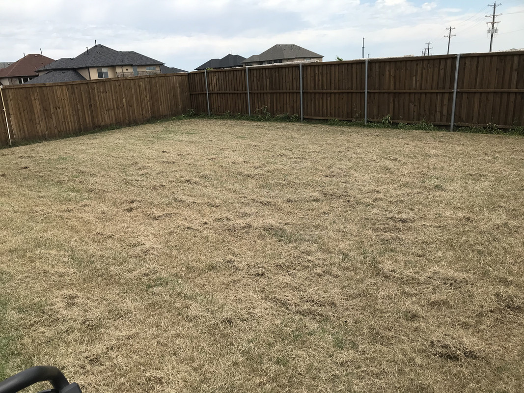 Bermuda lawn leveling steps | Lawn Care Forum