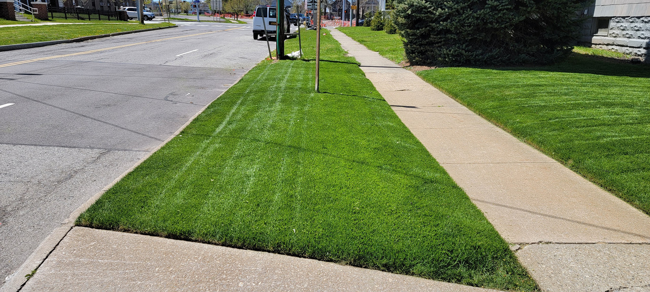 20210501 134354 — Postimages