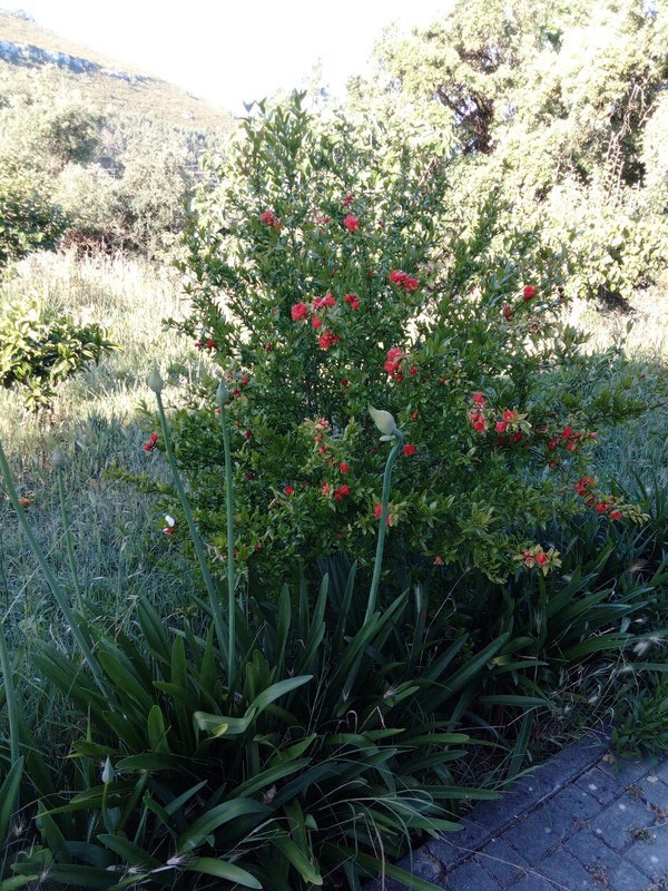 DSC 0283 resized 20190608 122058685 — Postimages