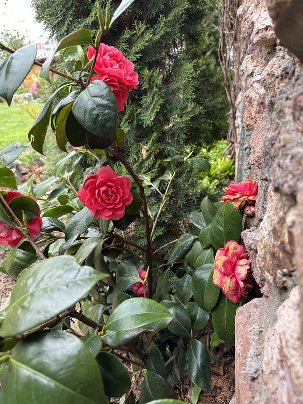 IMG 9157 — Postimages