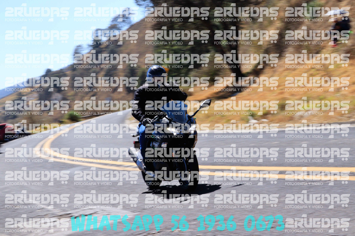 MG 1265 — Postimages