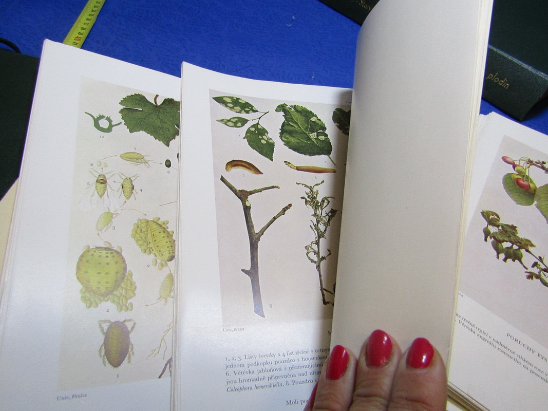 IMG 1892 — Postimages