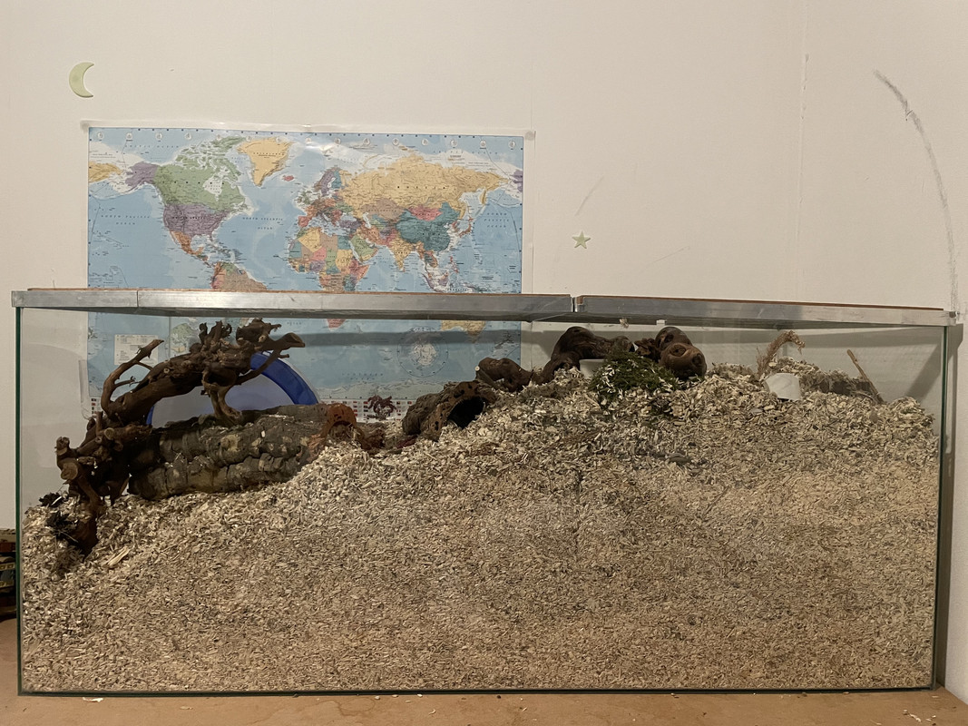 D93239 F3 B4 FA 4538 9780 E6 E66397 BEFD — Postimages