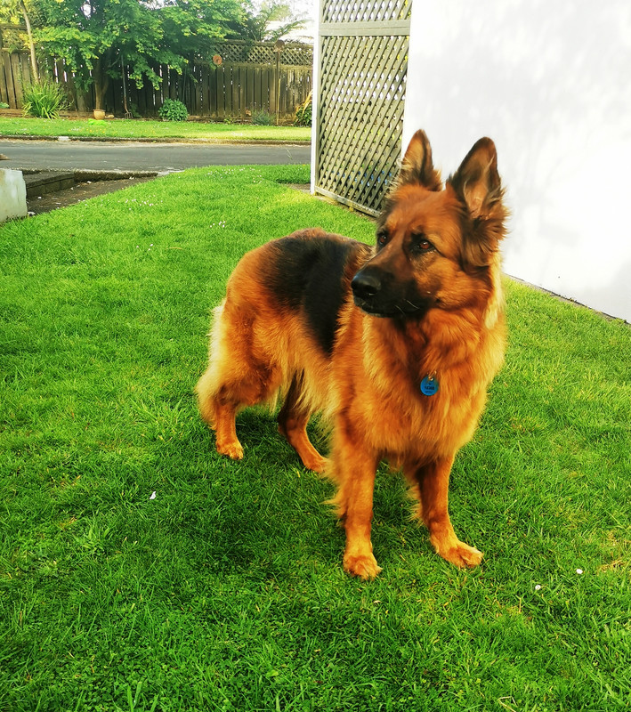 IMG 20231103 184310 1 edit 589143996406454 — Postimages