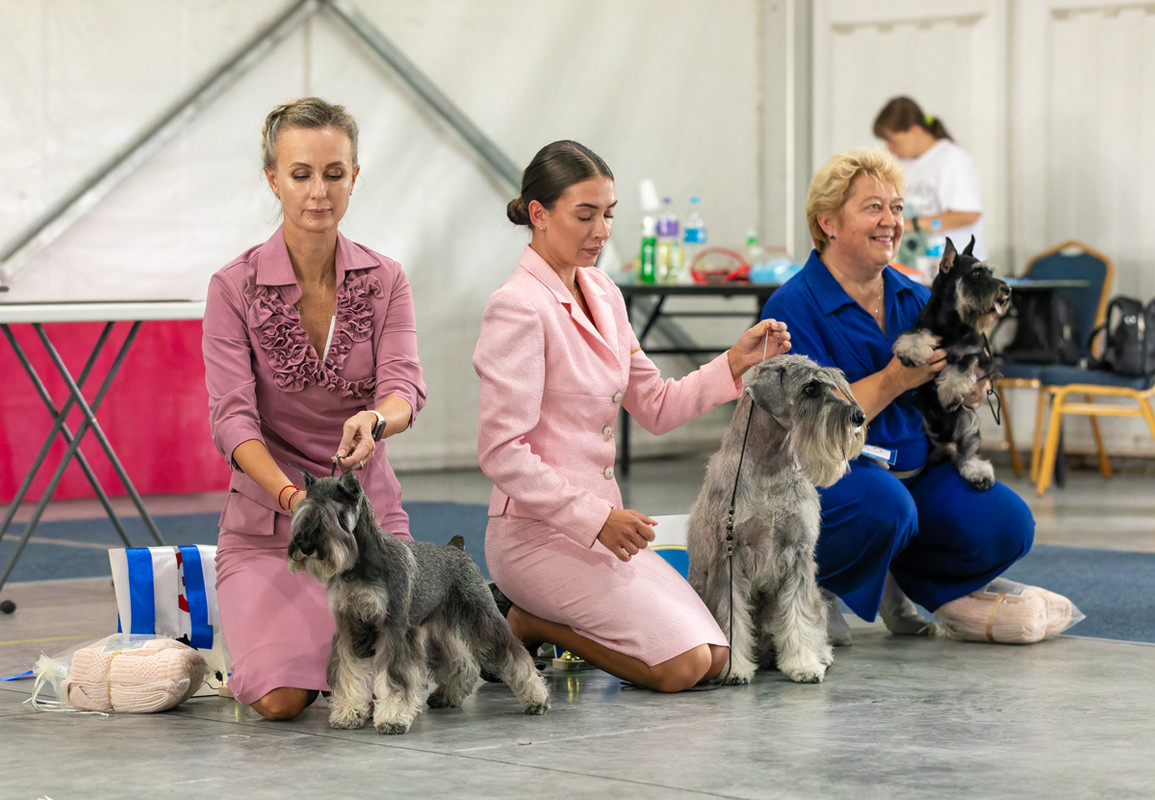 149 CR2 — Postimages