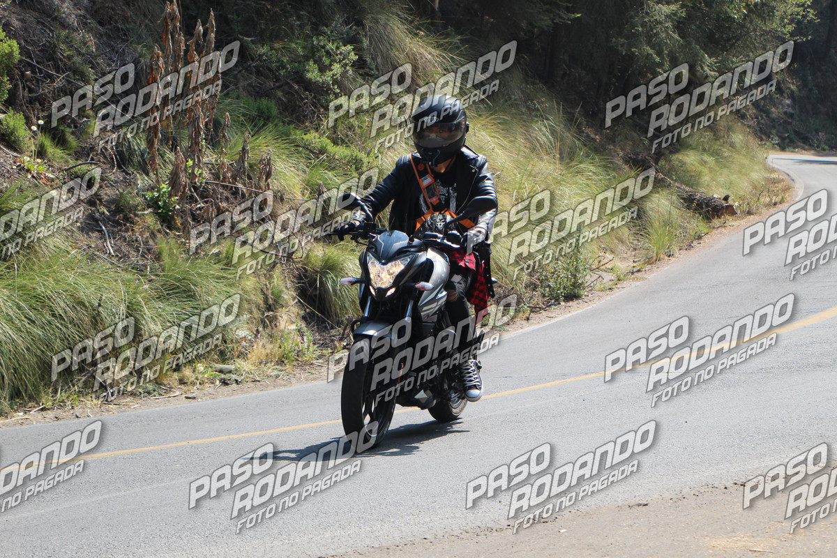 IMG 5281 wm 140927 30000000005 watermarked — Postimages