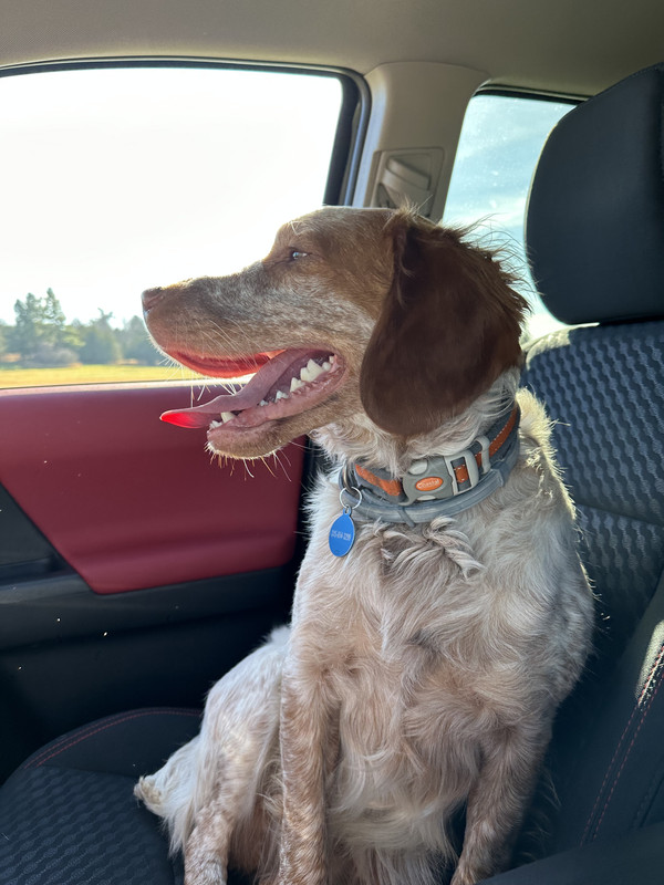 IMG 3637 — Postimages