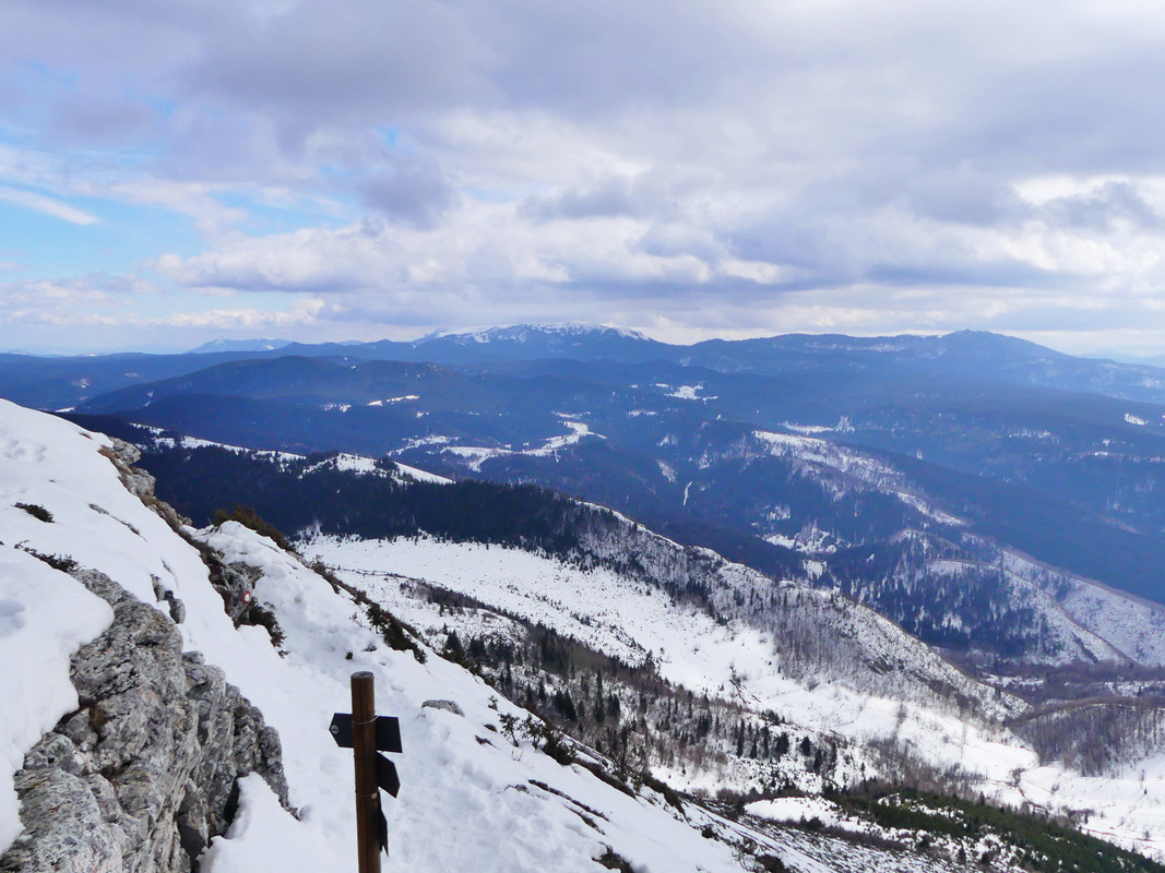 P1190917 — Postimages