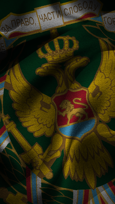 wallpaper zelenaska — Postimages