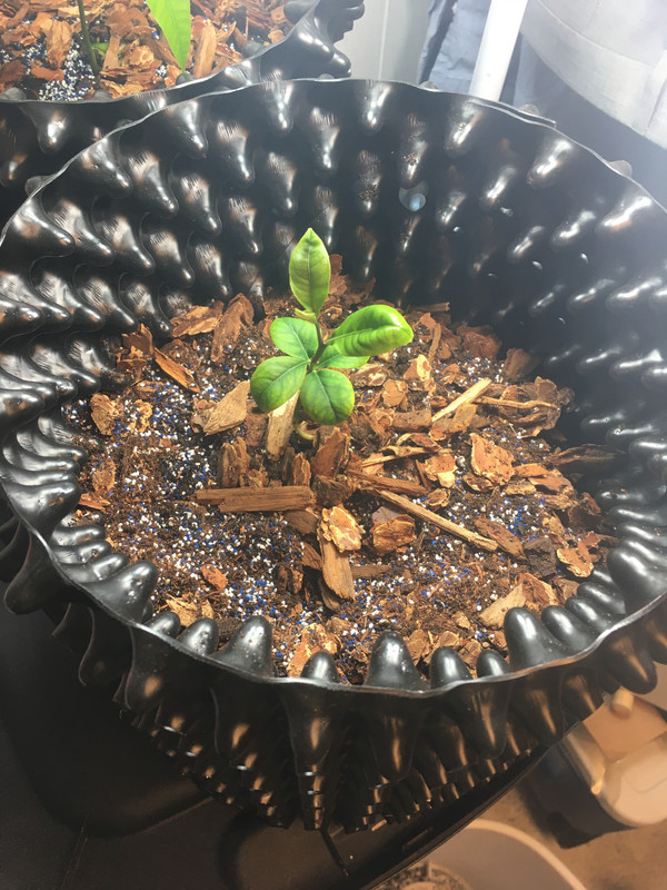 0 EB39 F3 E 3727 4 D55 BF36 B79152 B0750 E — Postimages