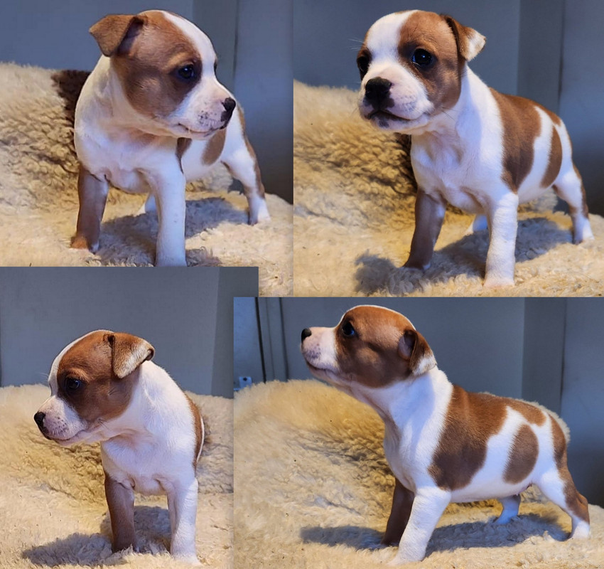 Nieuwe map (2) — Postimages