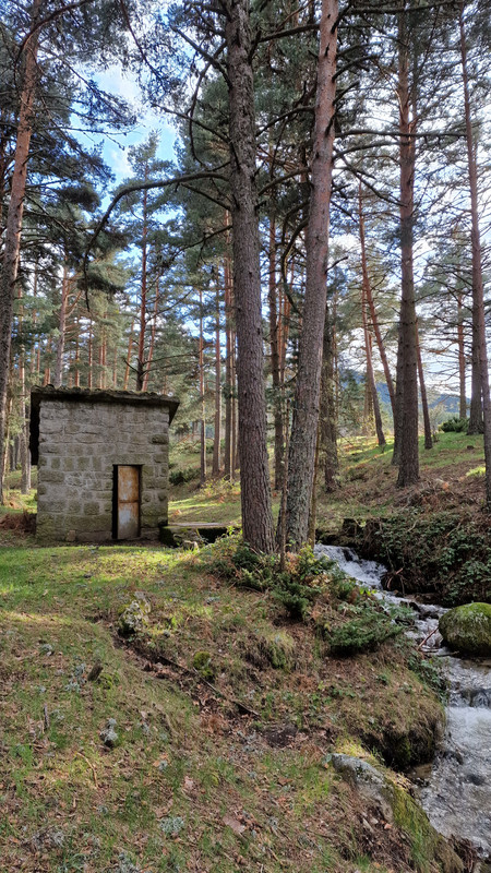 20220413 192139 — Postimages