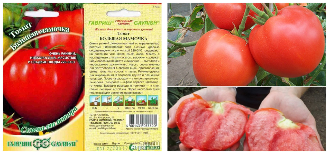 Томат Большая мамочка КОЛЛАЖ — Postimages