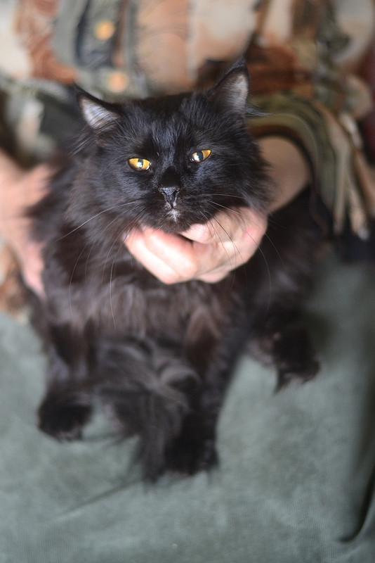 DSC 0489 — Postimages