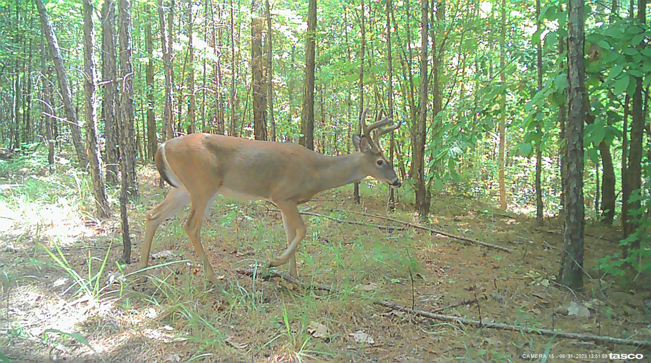 CEC9877 B E619 4332 A01 A 472 A9 D22 CD3 E — Postimages