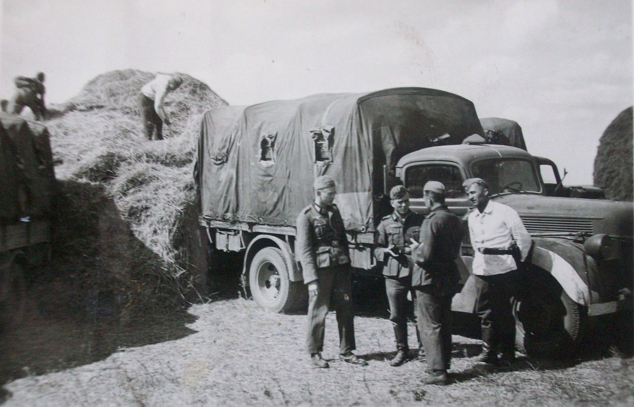 Ford V8 G198 TS — Postimages