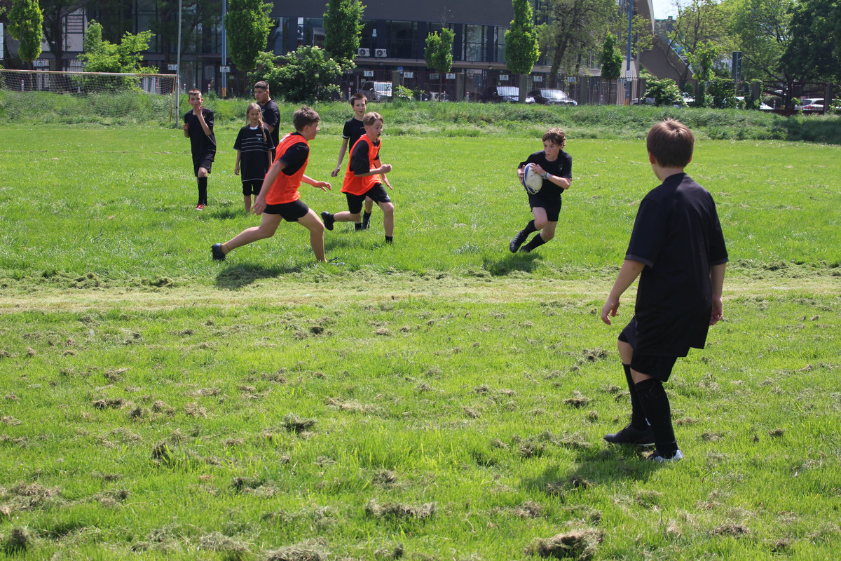 IMG 3223 — Postimages