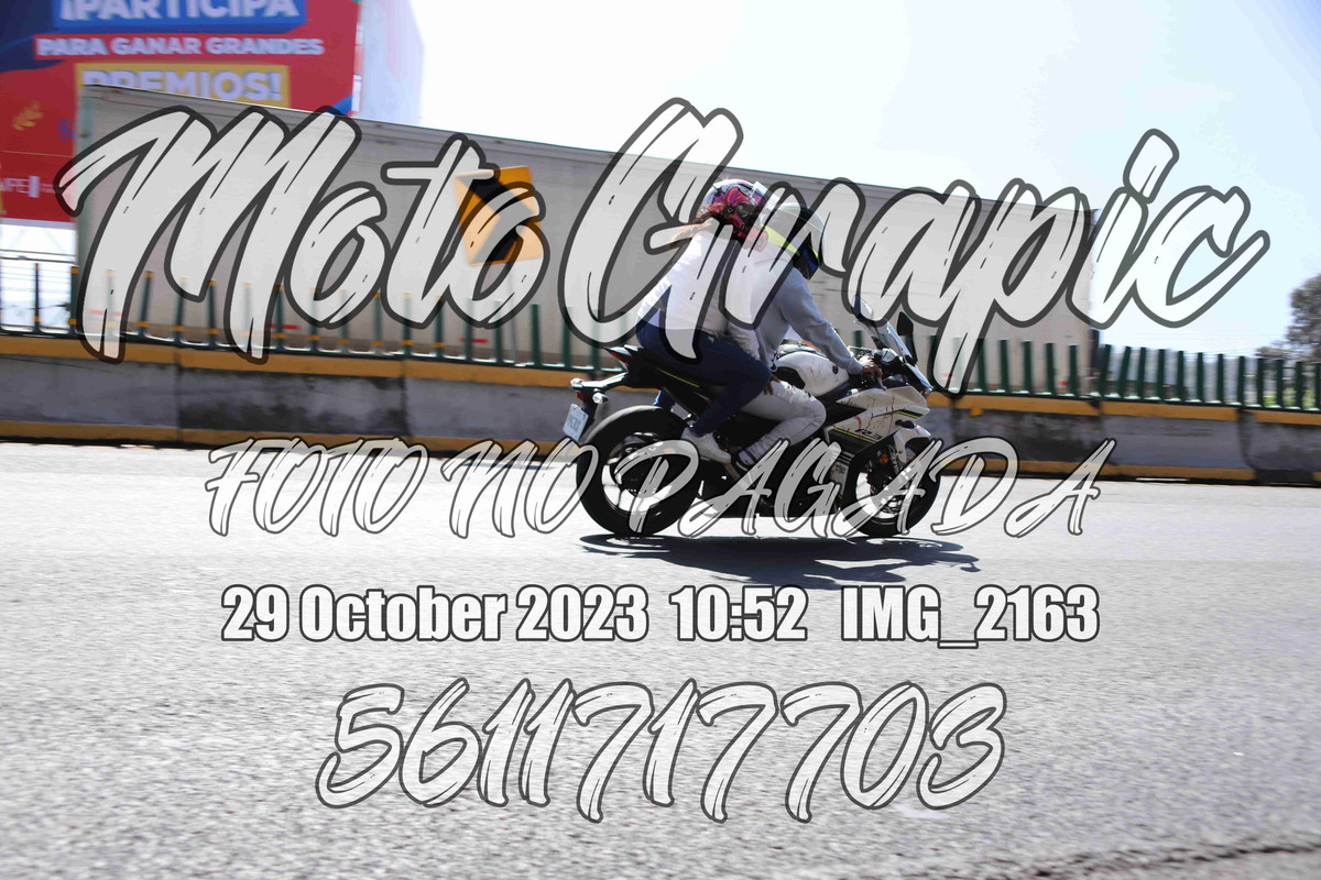 motgr IMG 2163 — Postimages