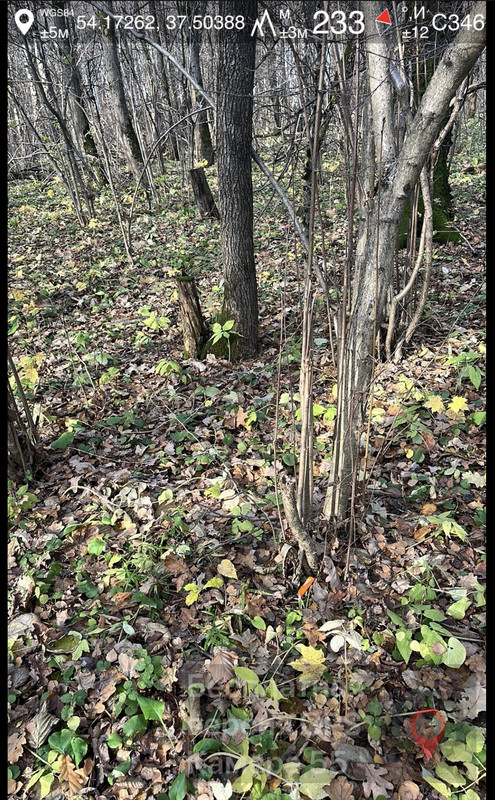 IMG 1825 — Postimages