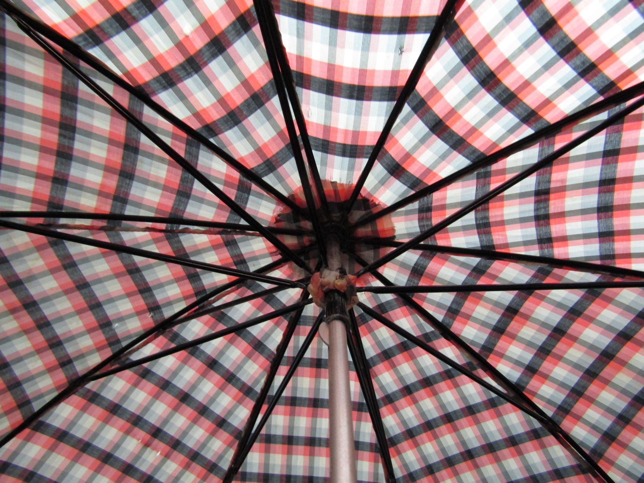 IMG 7479 — Postimages