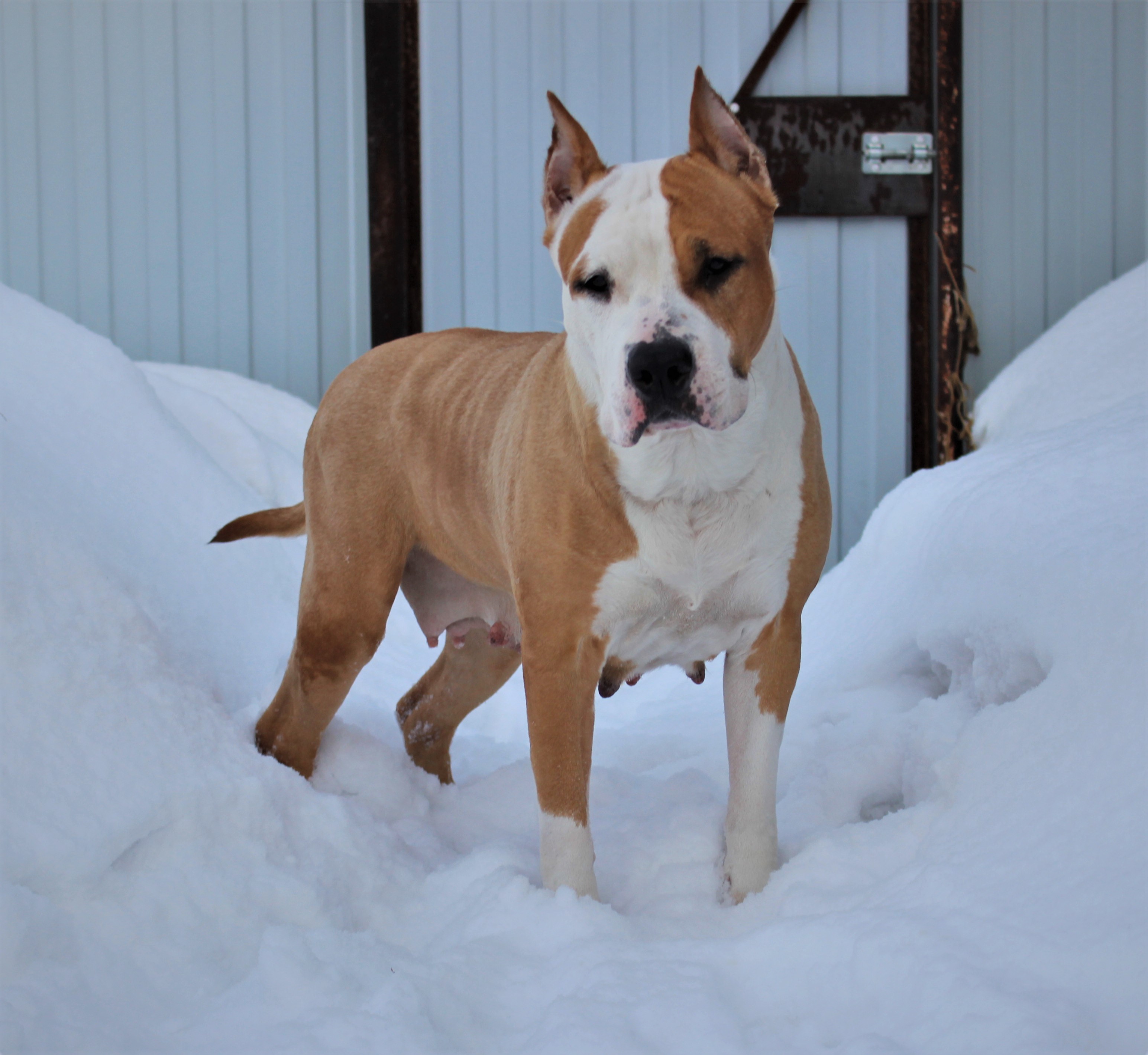 IMG 6881 — Postimages