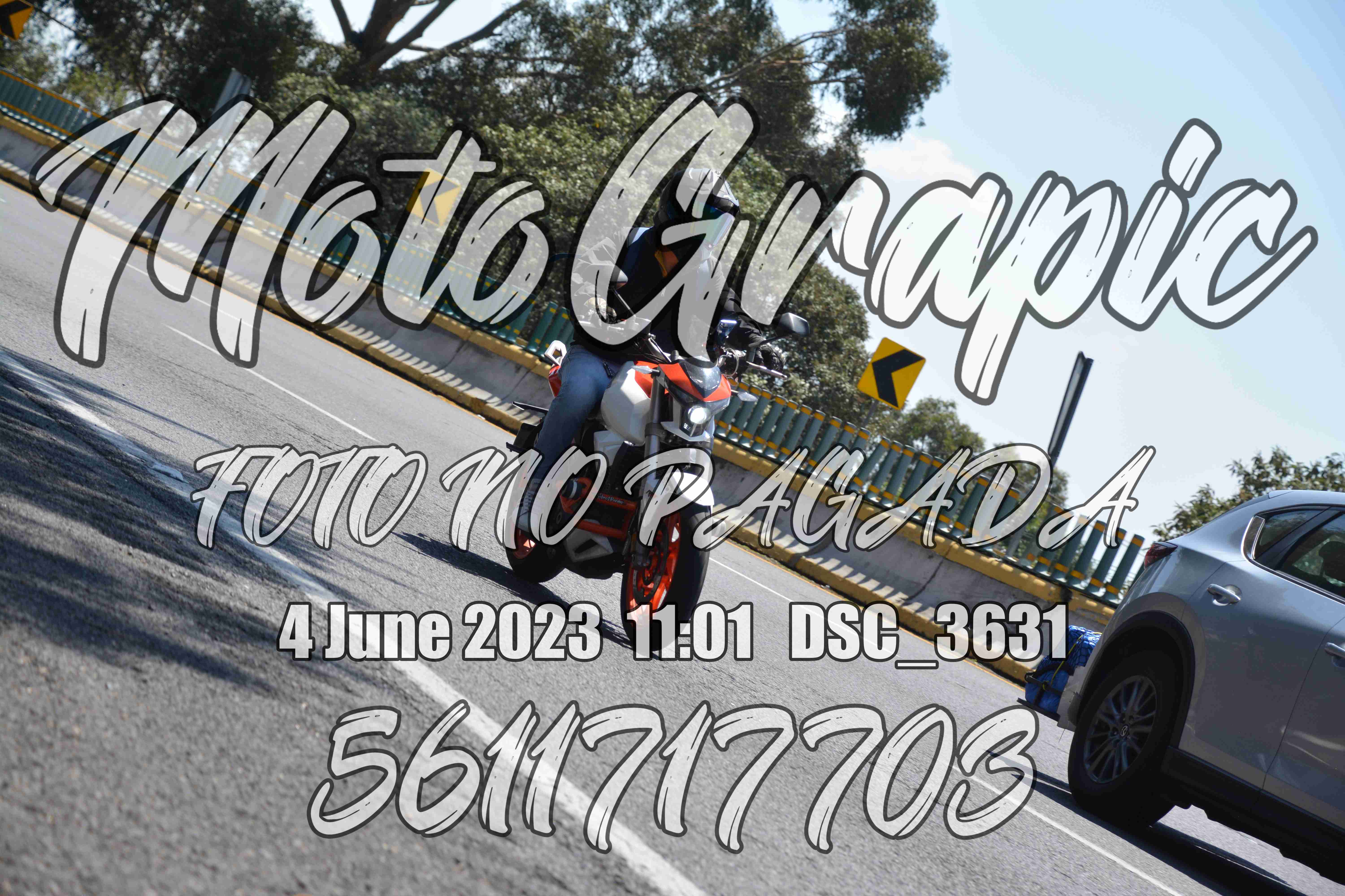 motgr DSC 3631 — Postimages