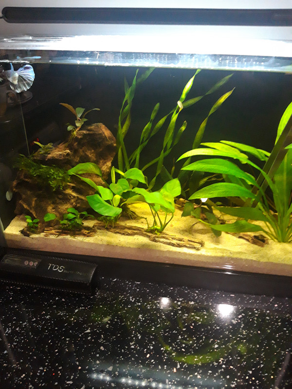 20200314 202014 — Postimages