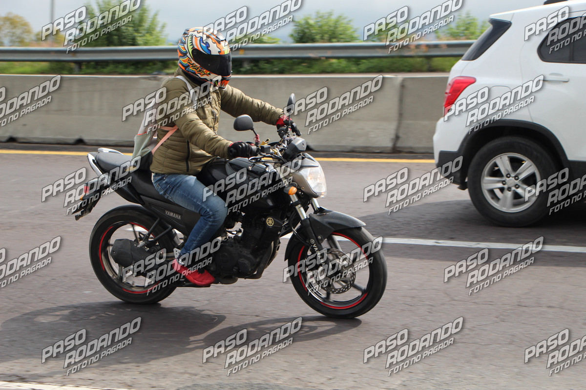 IMG 5044 wm 65546 80000000028 watermarked — Postimages