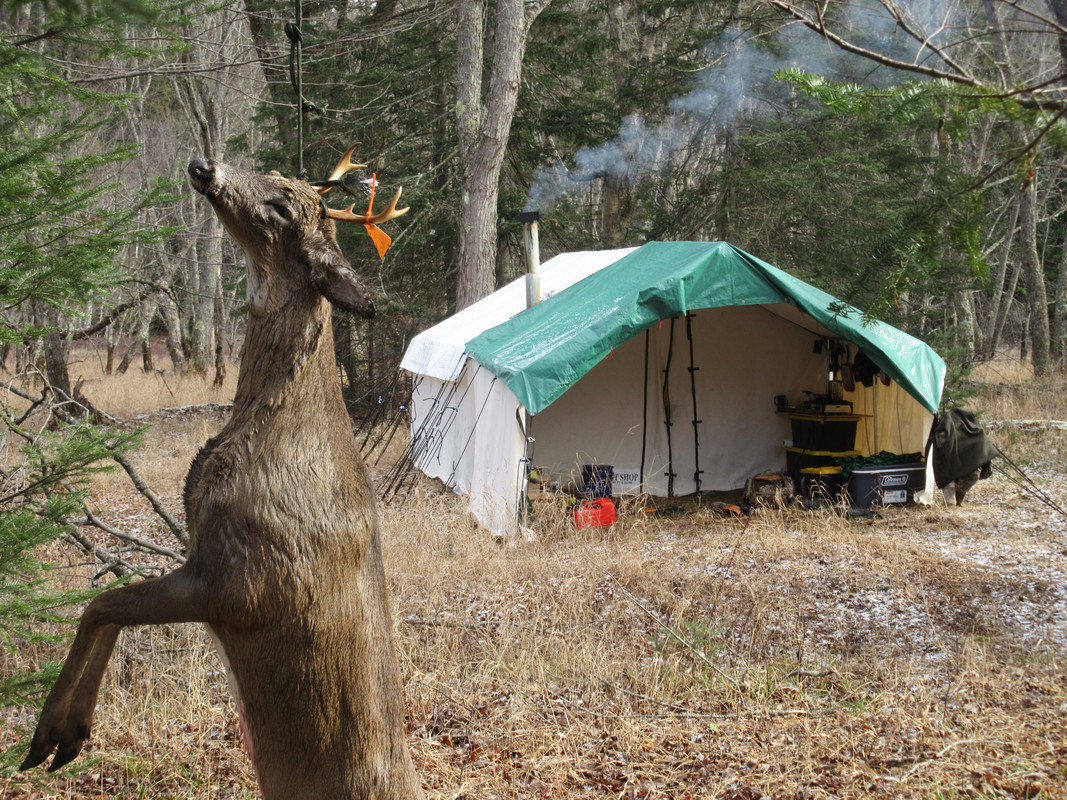 IMG 0072 — Postimages