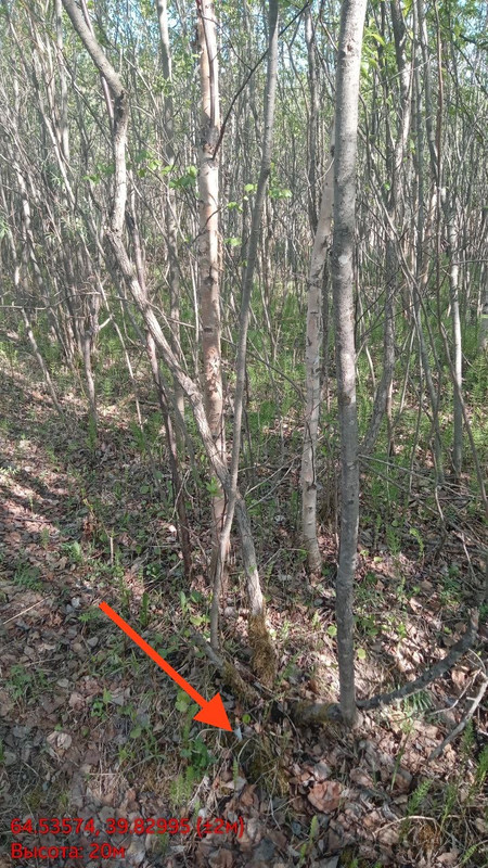 IMG 3720 — Postimages