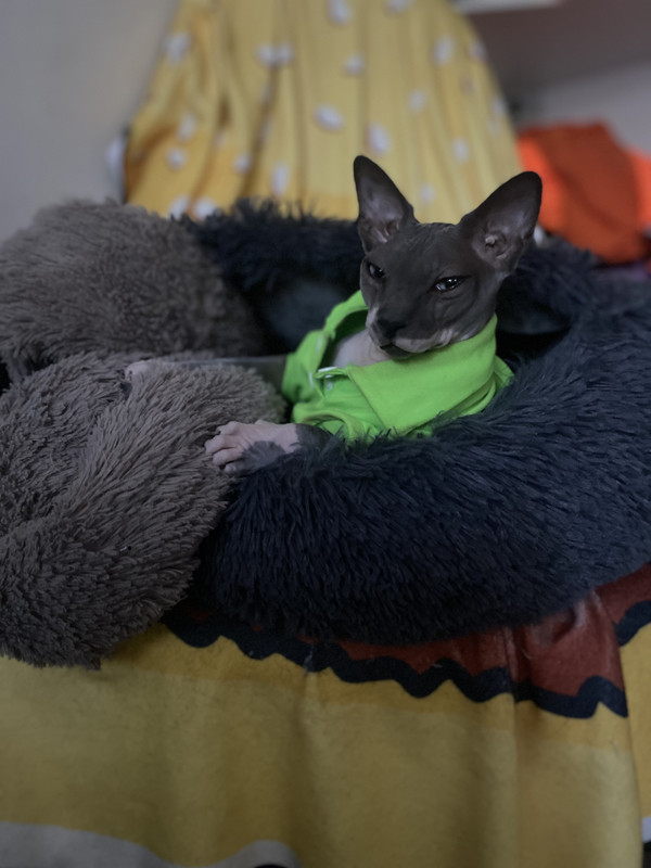 516 B7 EAA 696 B 4 BDA BC07 B5 AB76 D255 AE — Postimages