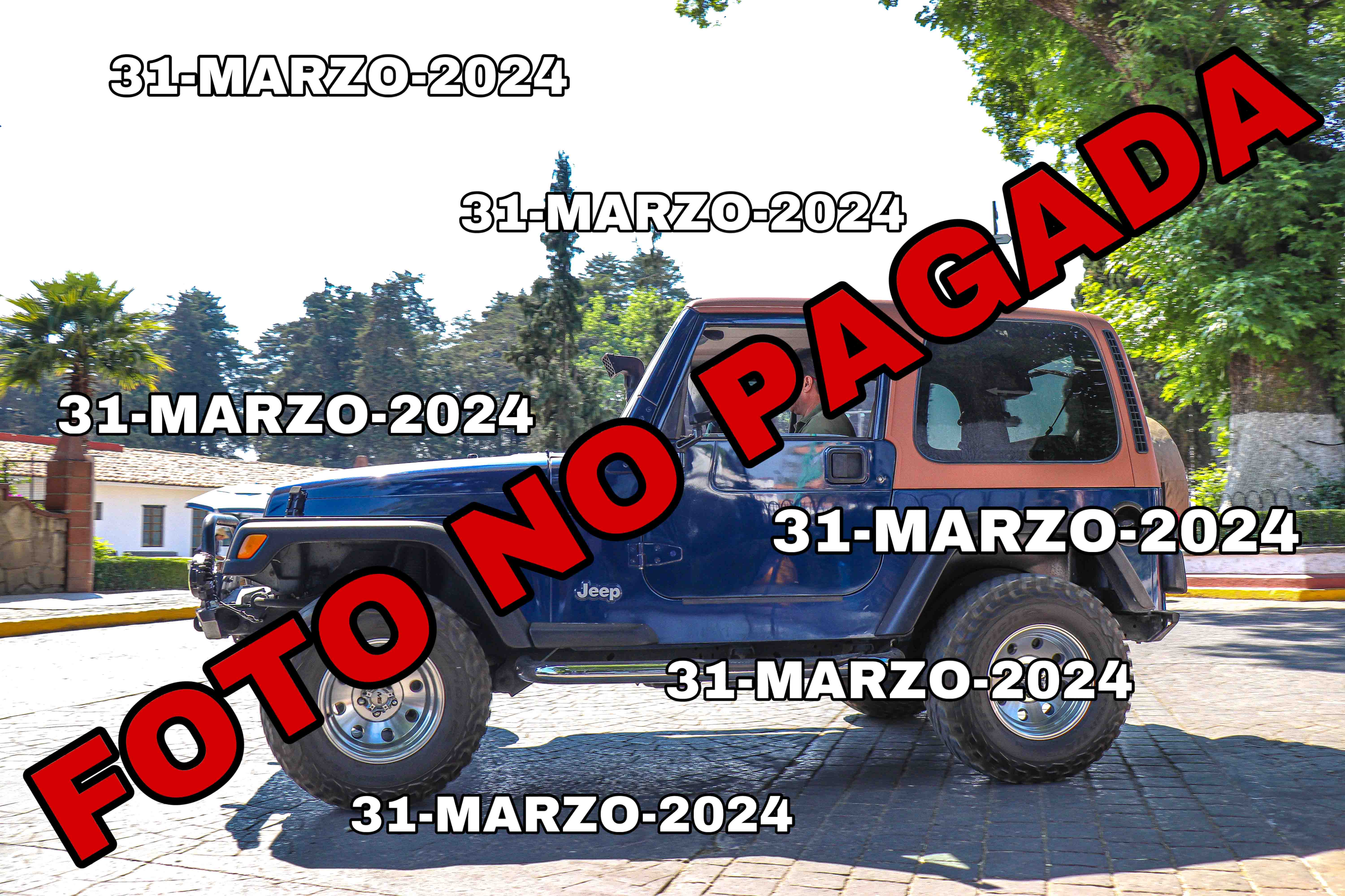 CV 132 — Postimages