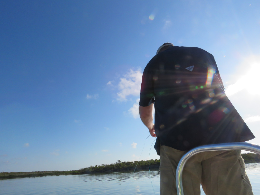 IMG 1016 — Postimages