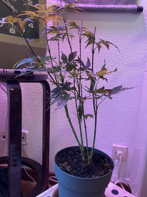 9 B2 C83 A2 87 CB 4676 887 F C892 DEA25 EE7 — Postimages