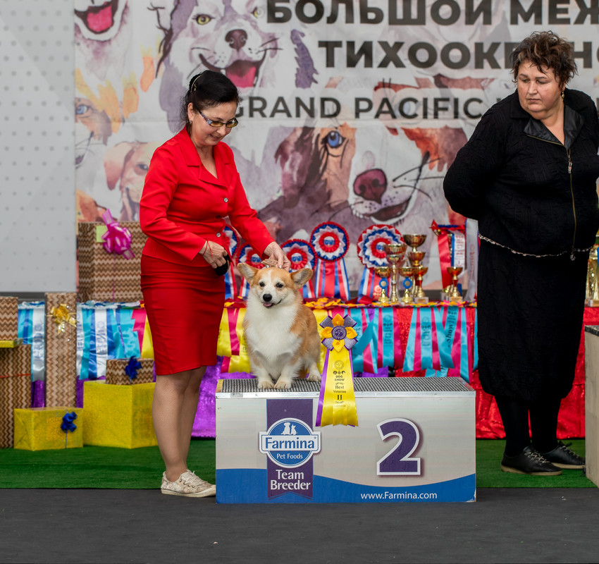 30 1203 — Postimages