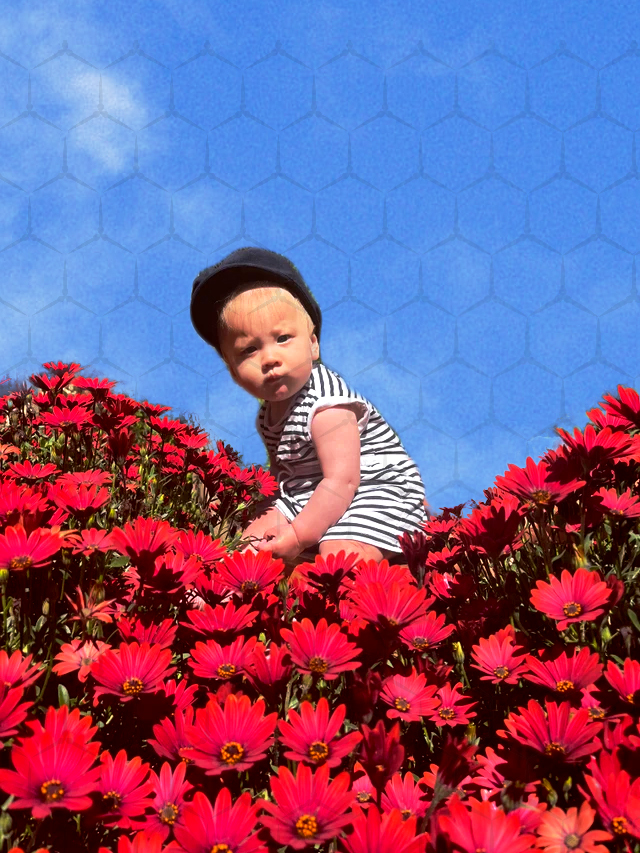 Baby flowers — Postimages