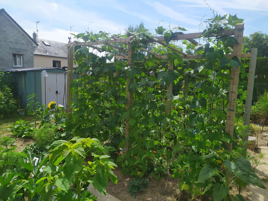 IMG 20230708 114838 — Postimages