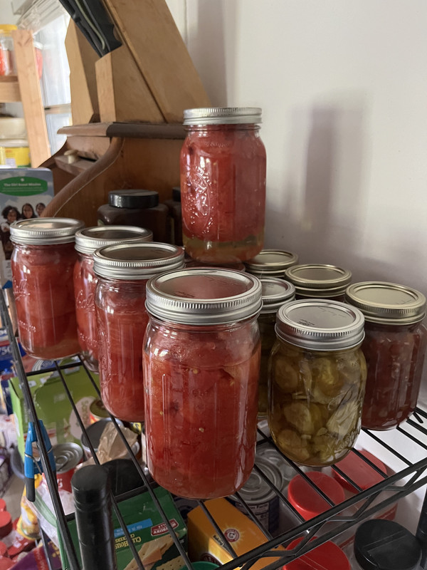 IMG 4059 — Postimages