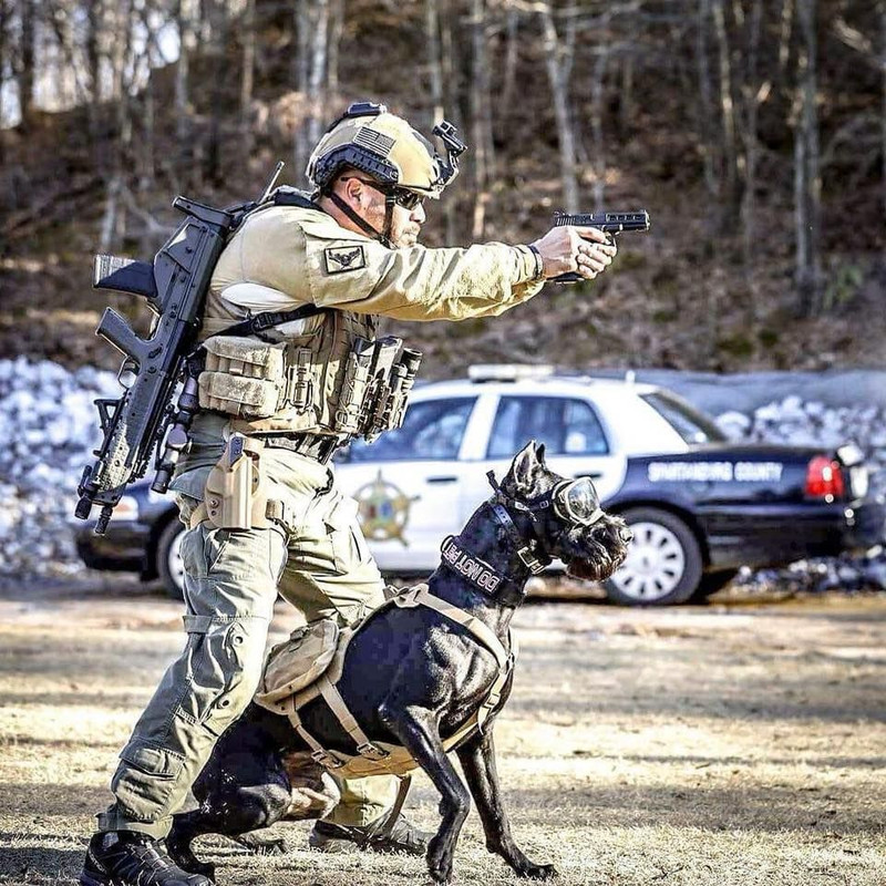 Photos - Pictures of Dogs in the Military & Police (K9) | Page 4 ...