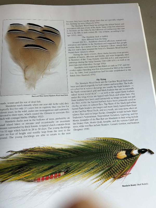 Fly Tying 011 — Postimages