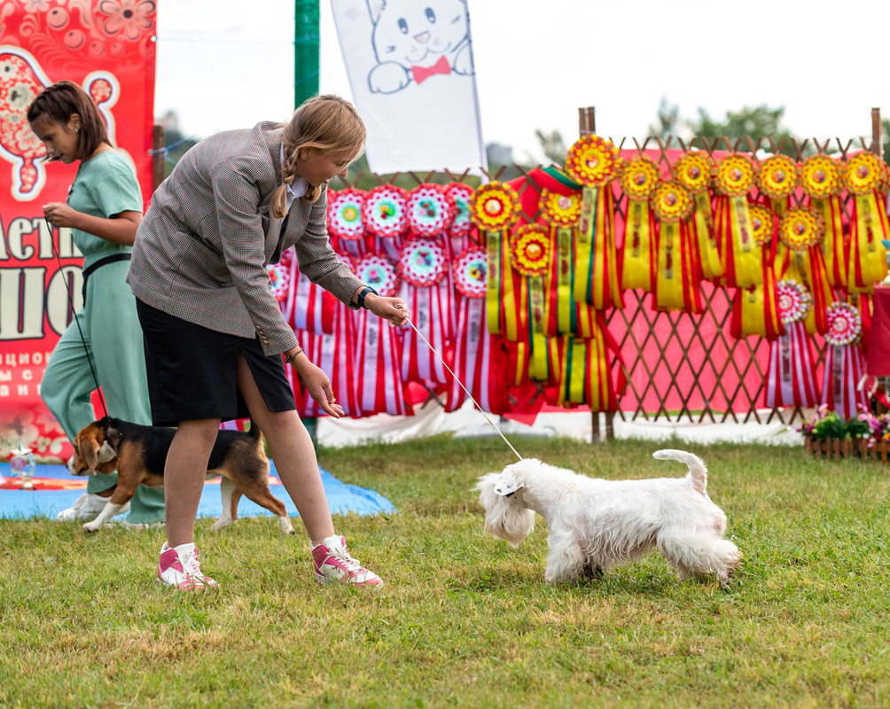 КЮХ 50 — Postimages