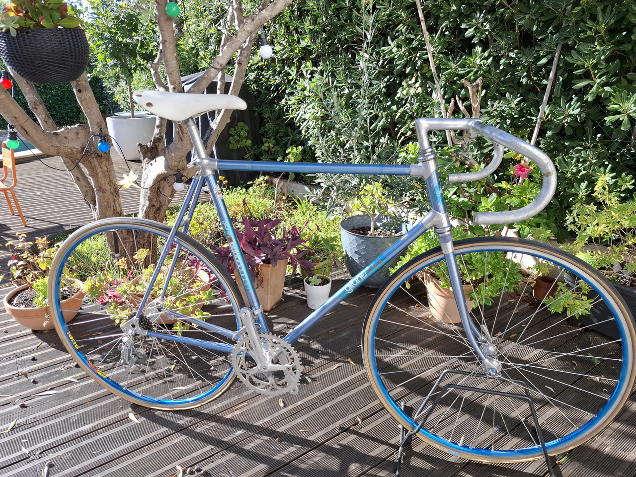 Gitane - alan