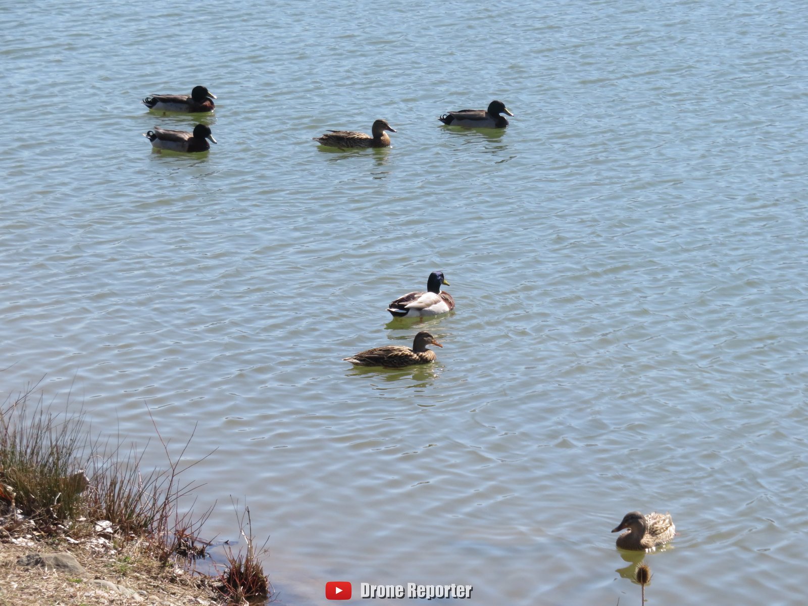 batch IMG 0049 — Postimages